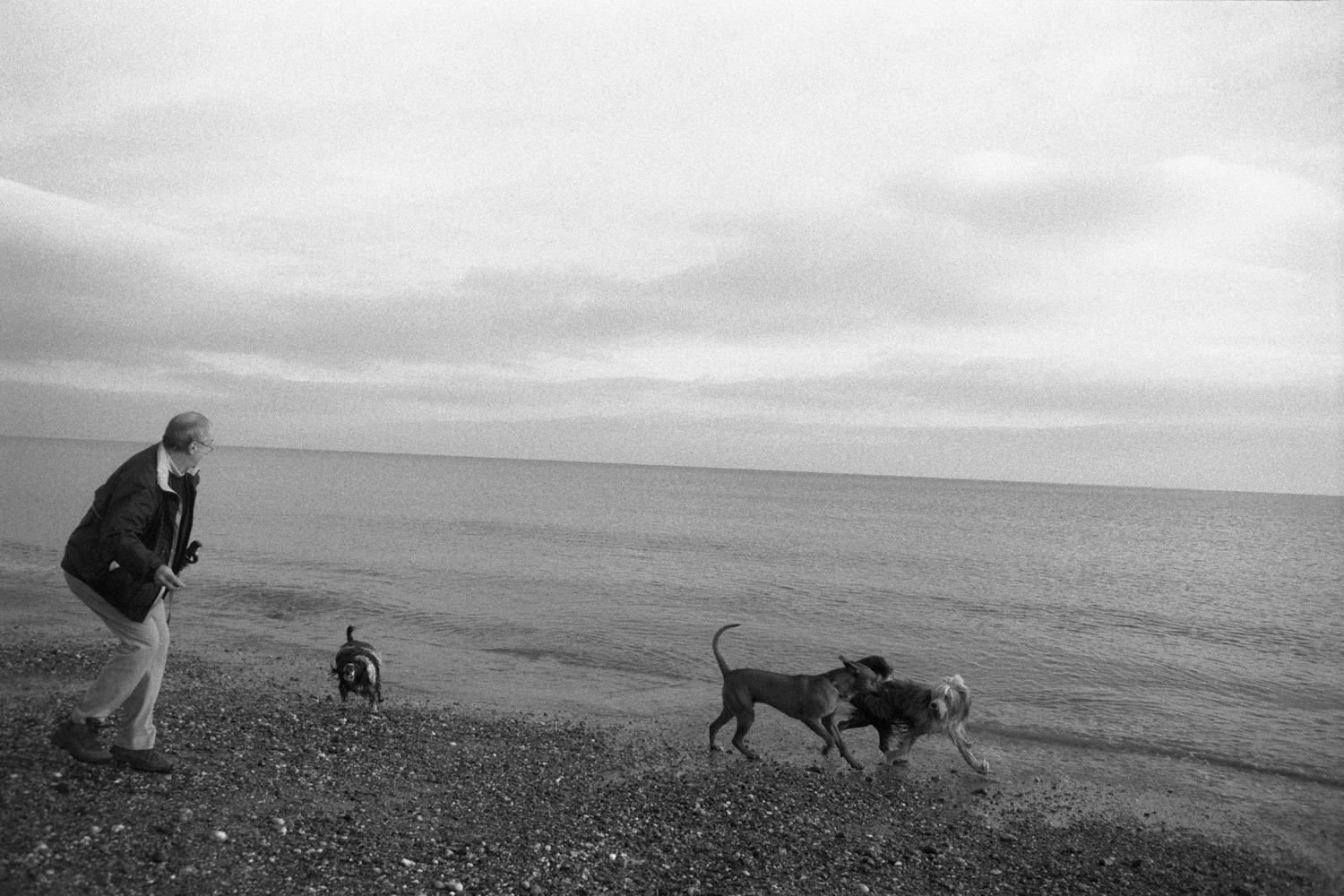 About — JULIAN DAMS