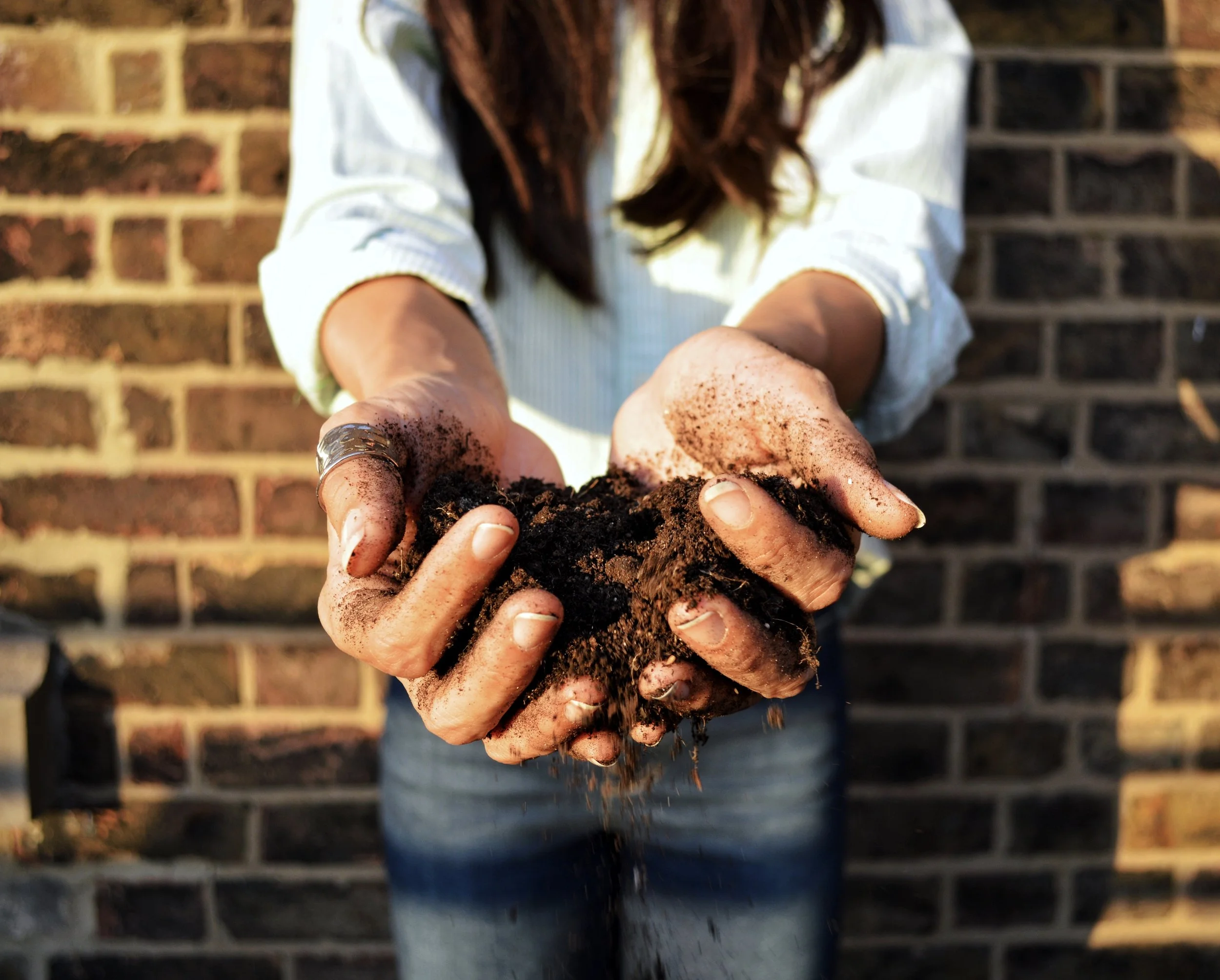 Roll Your Sleeves Up And Get Your Hands Dirty Generation Avocado