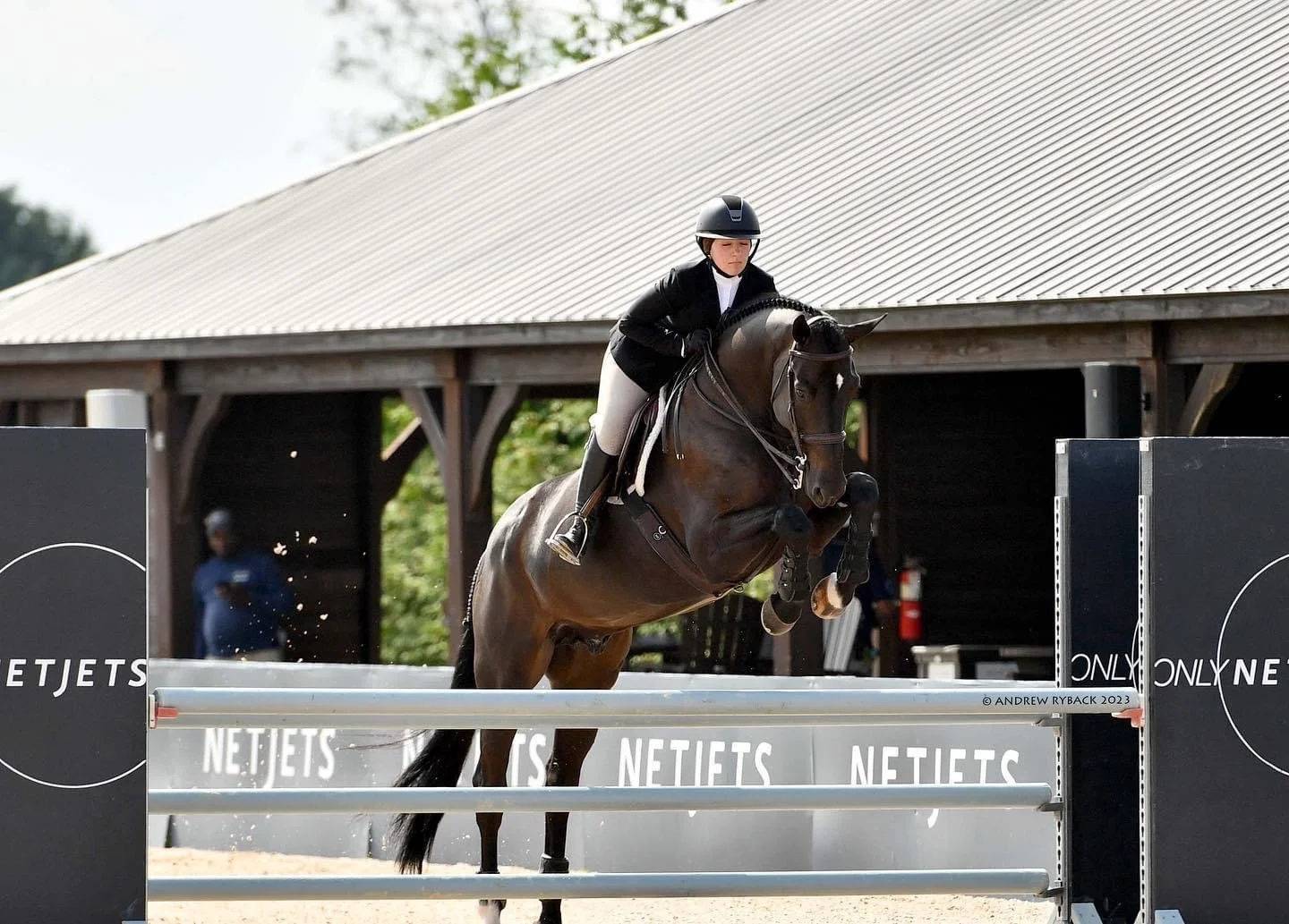 Horses for Sale — True North Stables