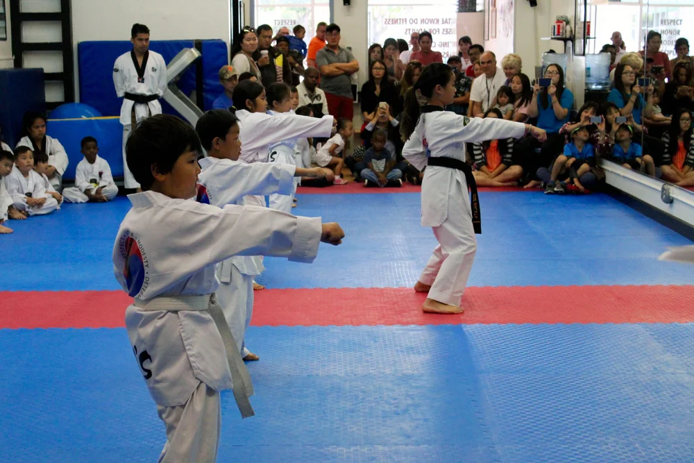 Classes — Lim's Taekwondo