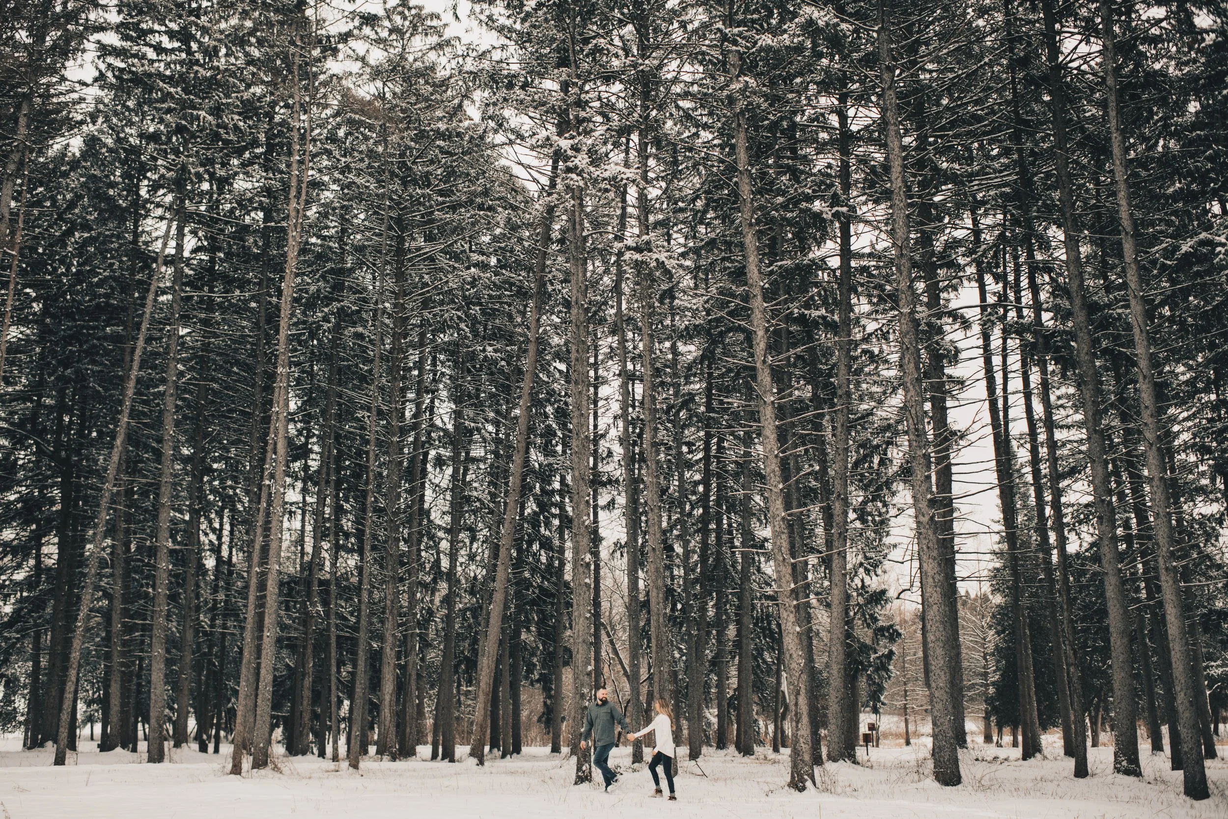 Winter Engagement Photos at the Morton Arboretum // Lisle, IL // Bryant ...