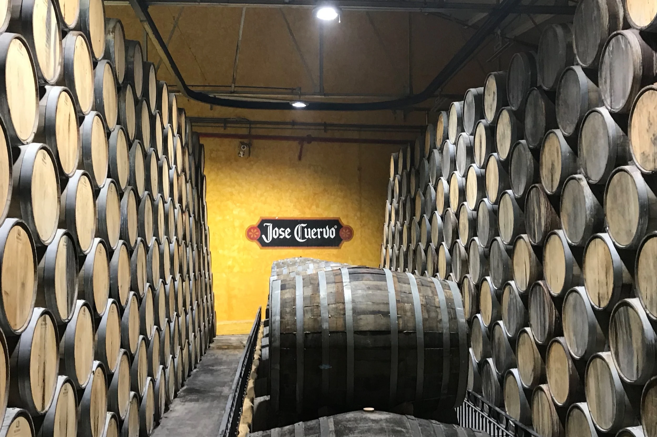 Jose Cuervo — The Spirits Educator