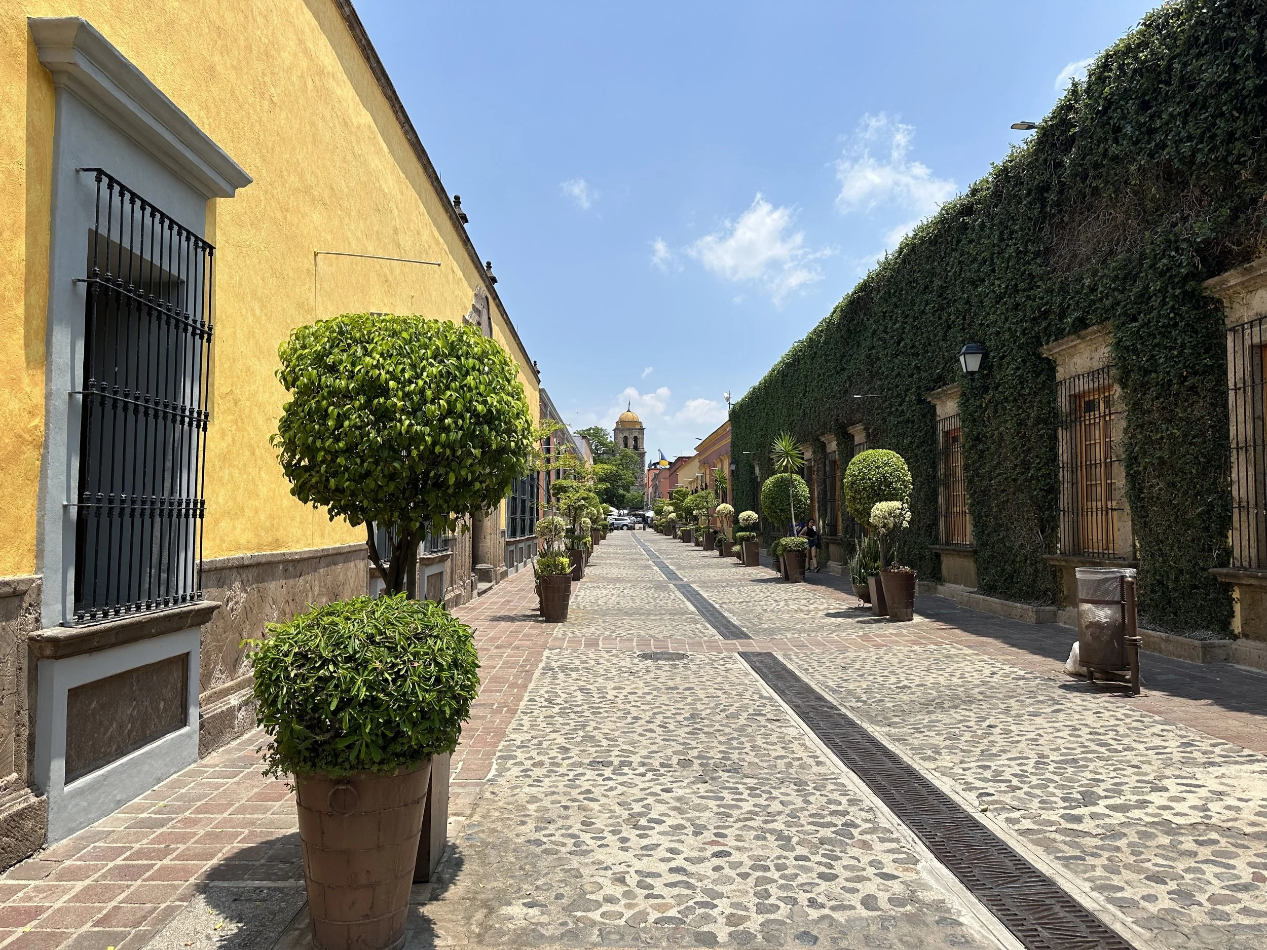 The Complete Guide to Jose Cuervo Tequila - Shaping the Past & Future ...