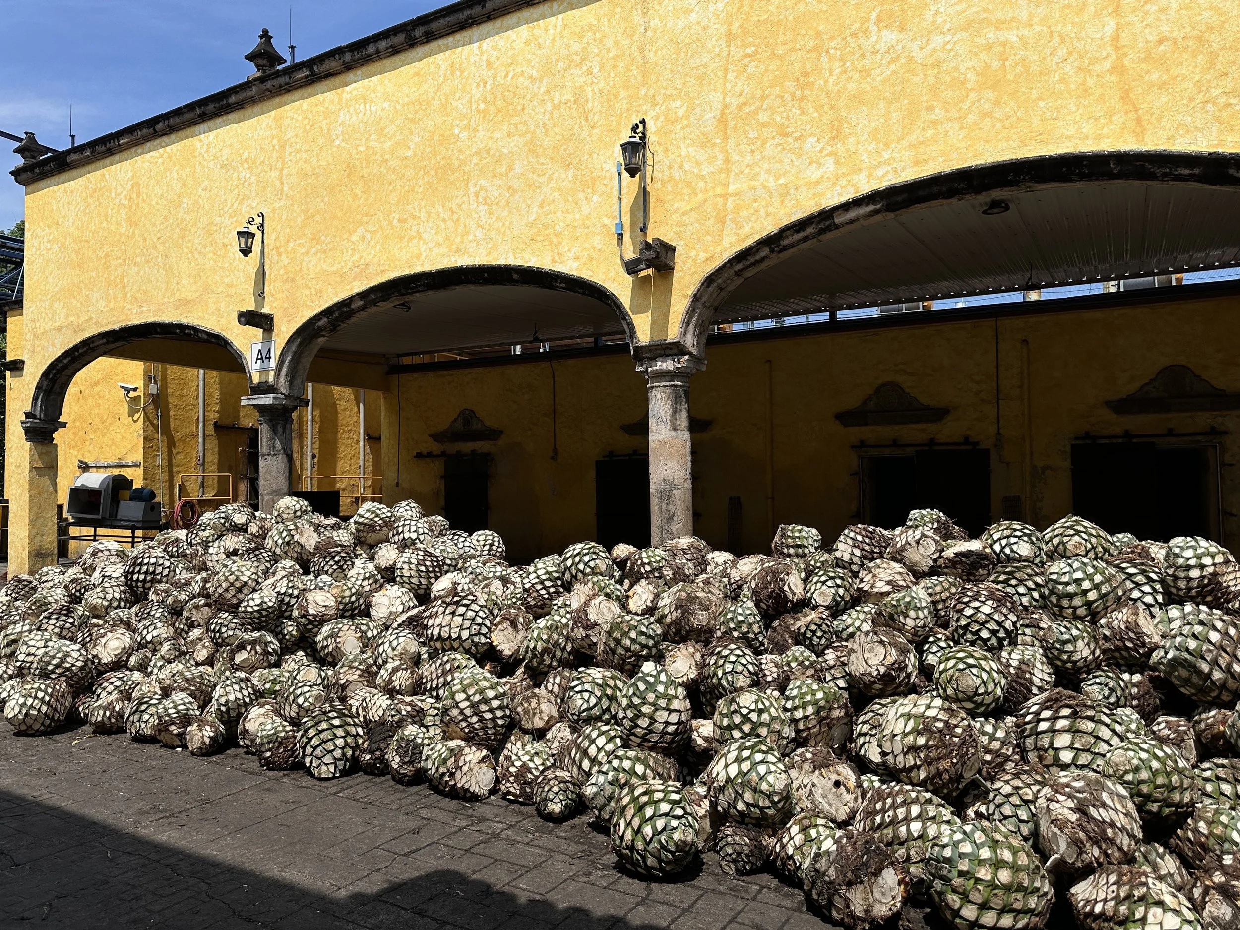 The Complete Guide to Jose Cuervo Tequila - Shaping the Past & Future ...