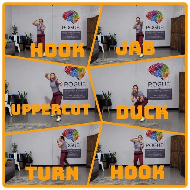 How To Turn Your “negatives” To “positives” With PD Exercises — Rogue ...