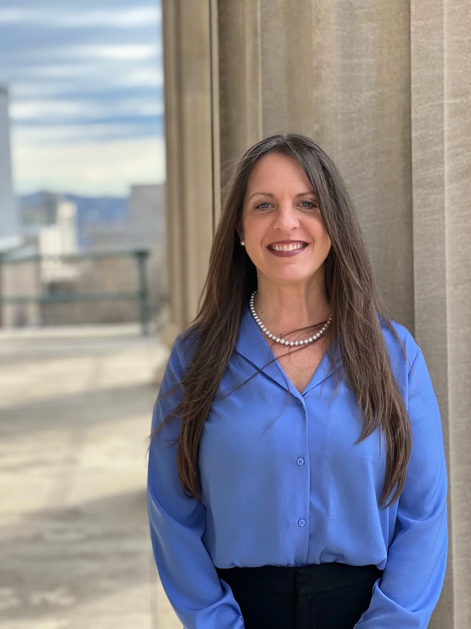 Schmidt Government Solutions