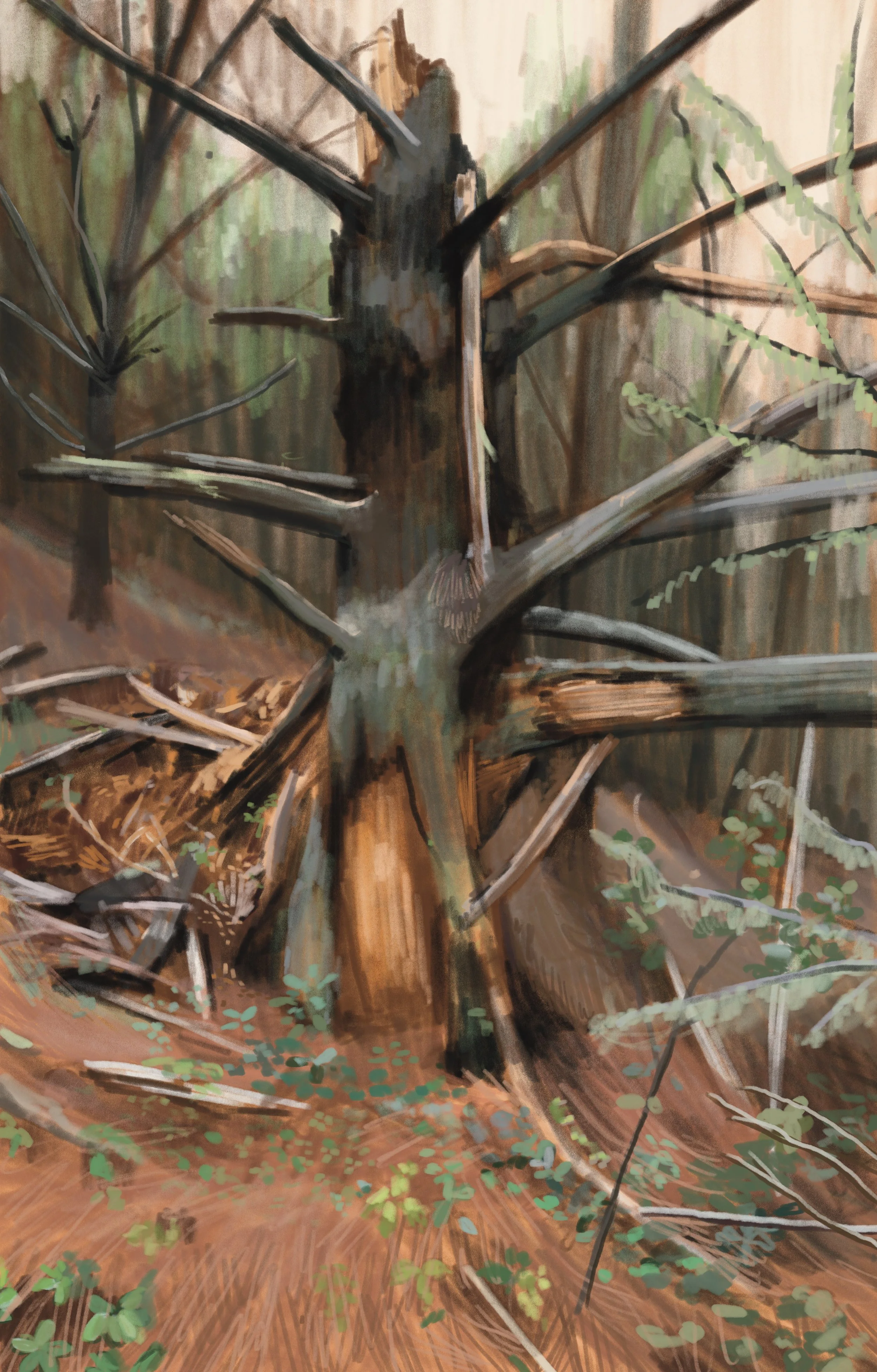 Mel Mitchell-Jackson Art