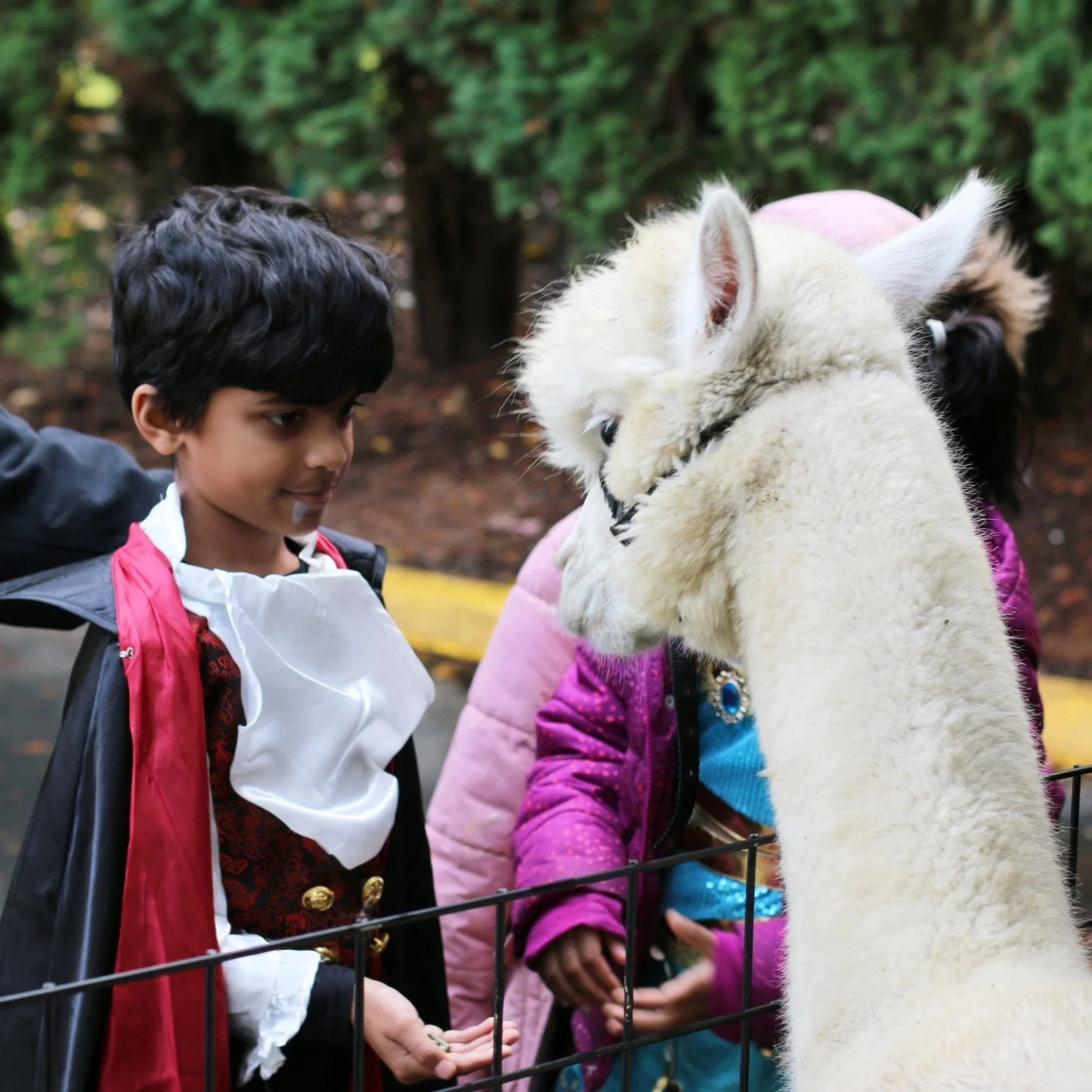 Cascadia School - Student Life | Redmond, WA