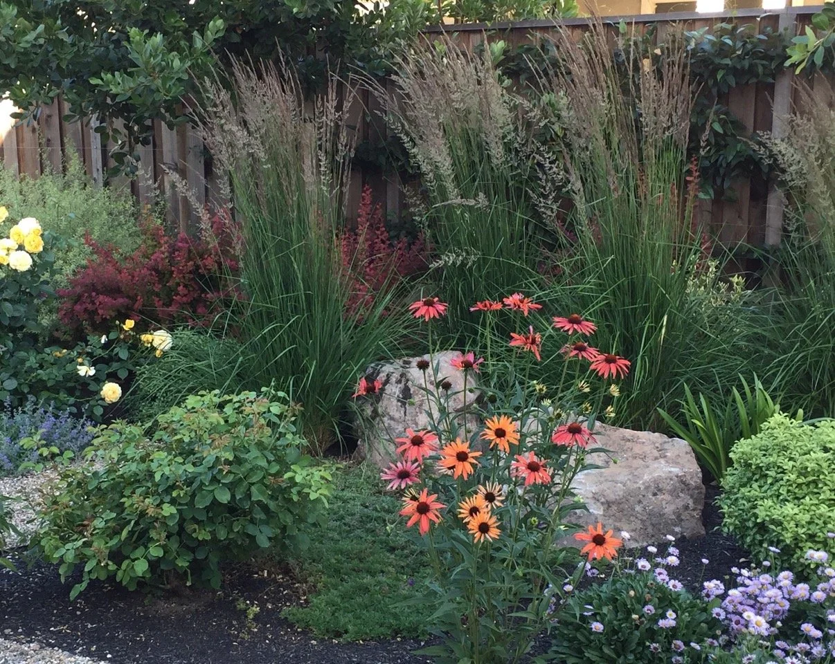 WELO: What Every Architect Should Know (Part 2) — Verdance Landscape ...