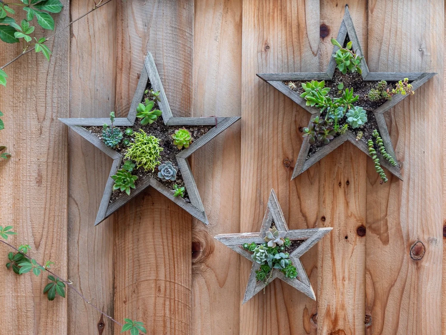 Rhythm in the Landscape | Verdance Landscape Architecture