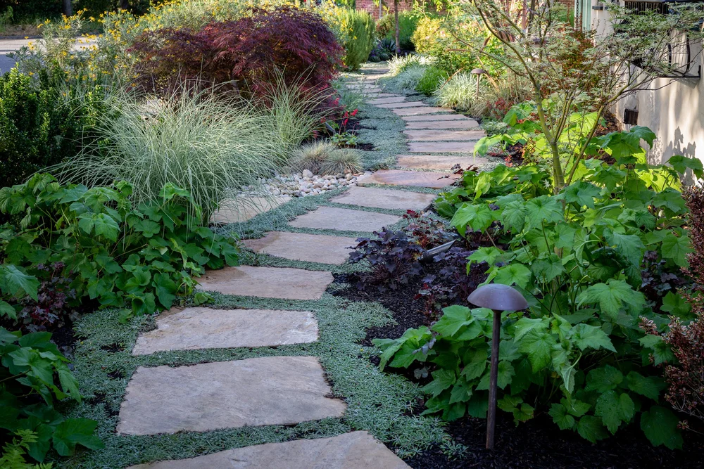 Rhythm in the Landscape | Verdance Landscape Architecture