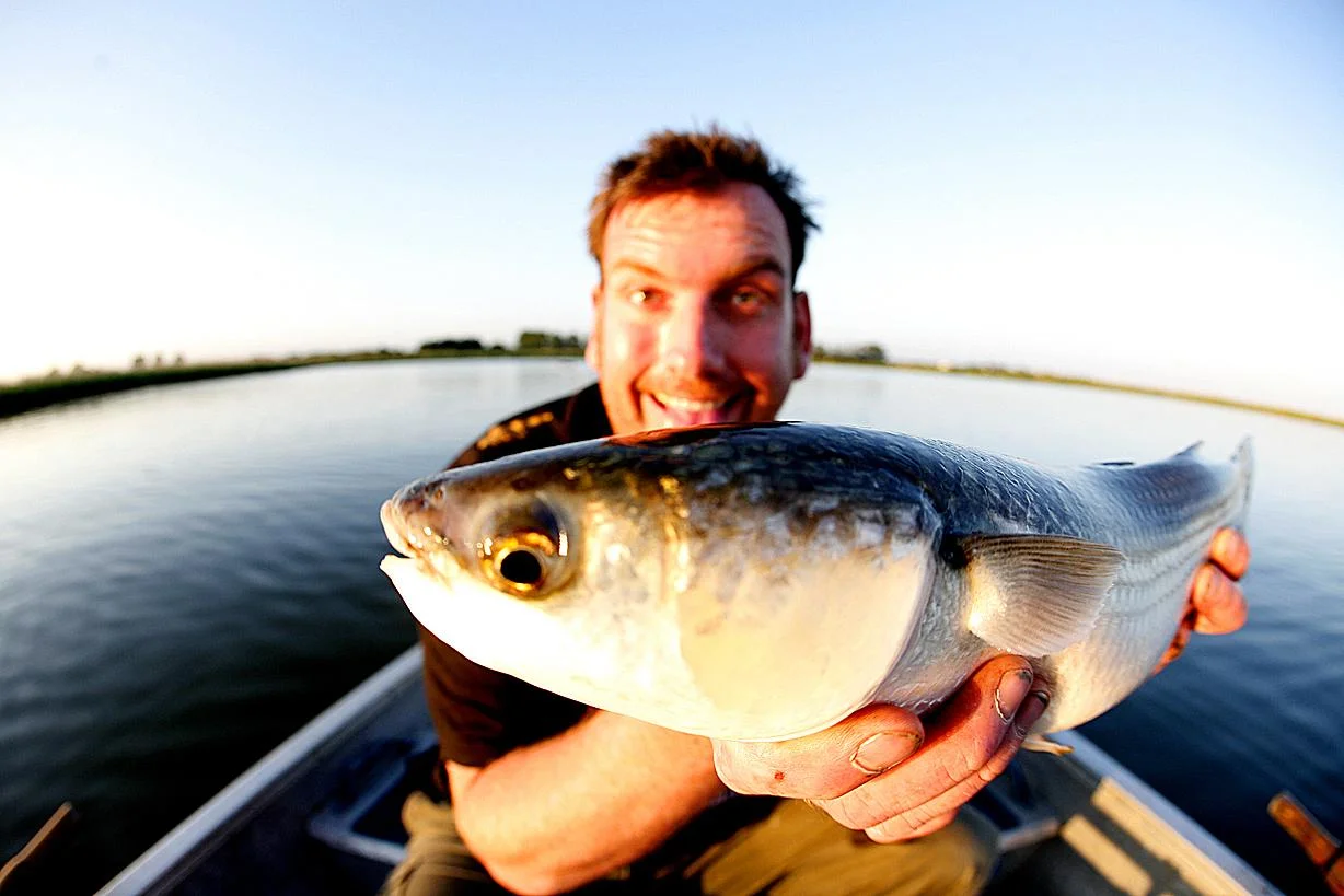 Russty Hooks-Fly and lure fishing for Bass and Sea Trout in ...