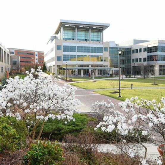 Colleges and Universities — Study Maryland