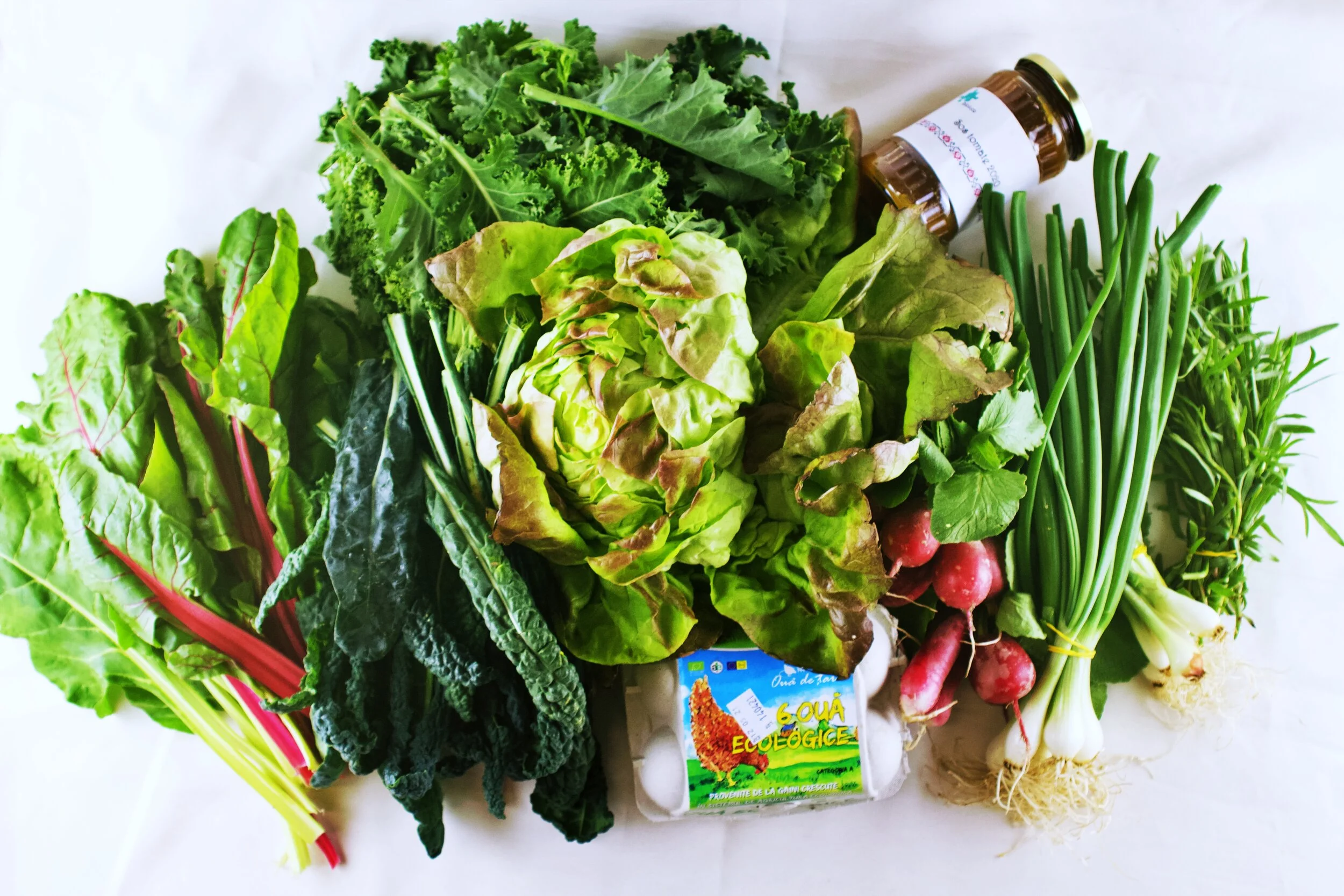 Ateliere Fara Frontiere