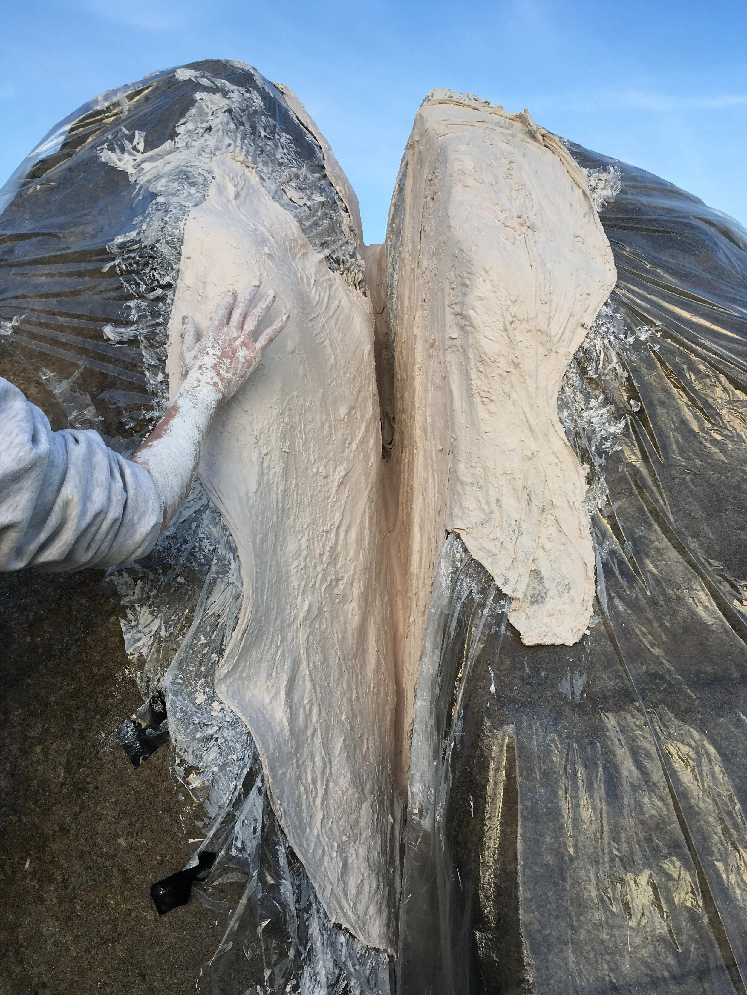 CHASMSCHISM — Ro Robertson