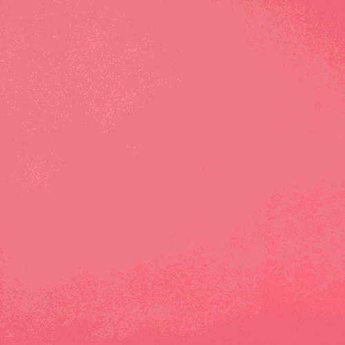 SRW Agency — Nicole Garcia Designs
