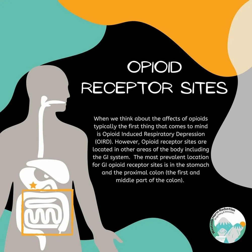 Poop: Bowel Care — NEXT Distro