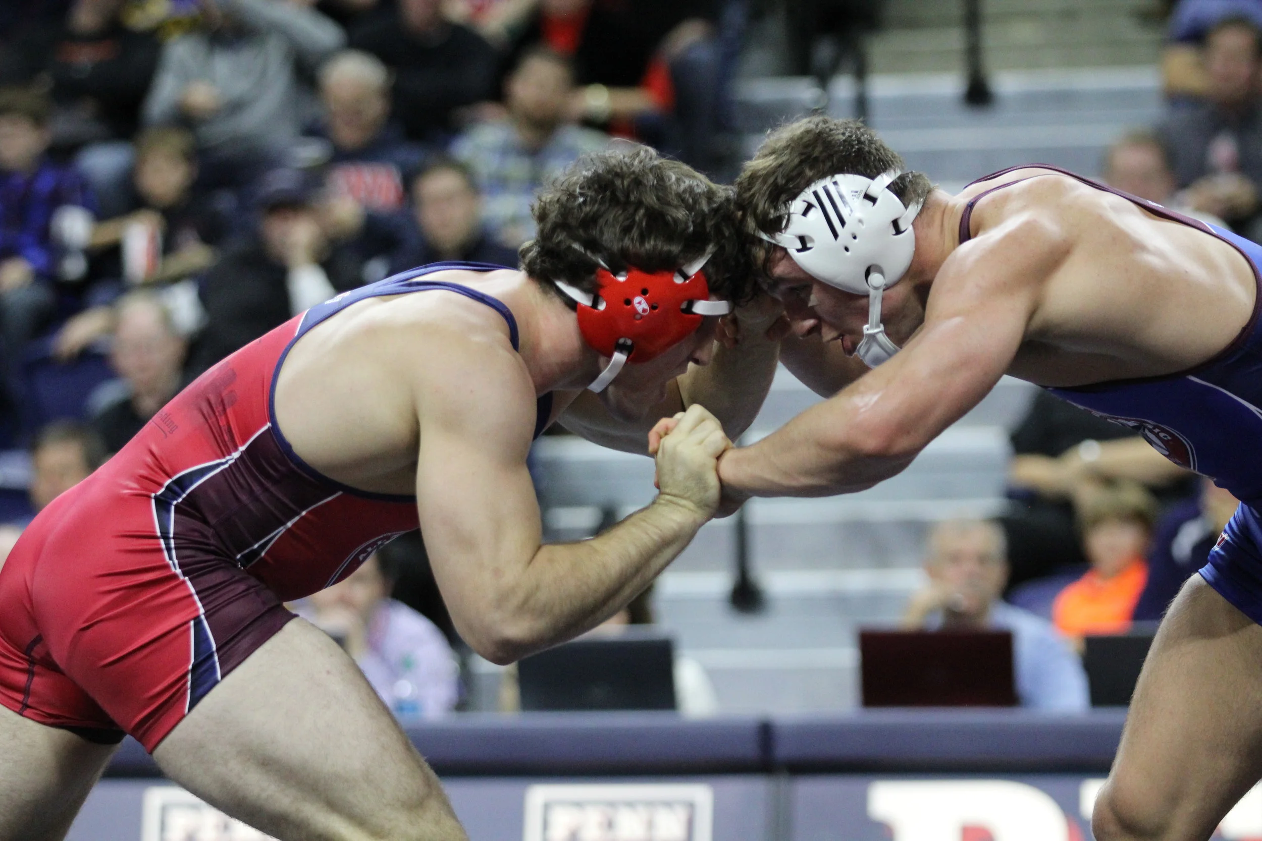 Wrestlers in Business Network