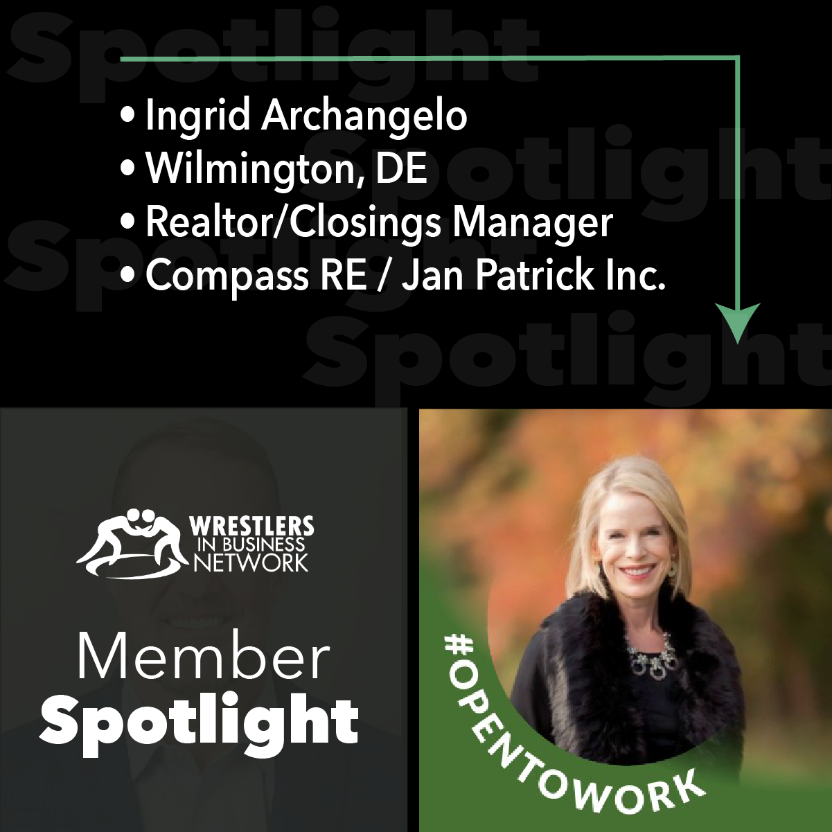 Wrestlers in Business Network