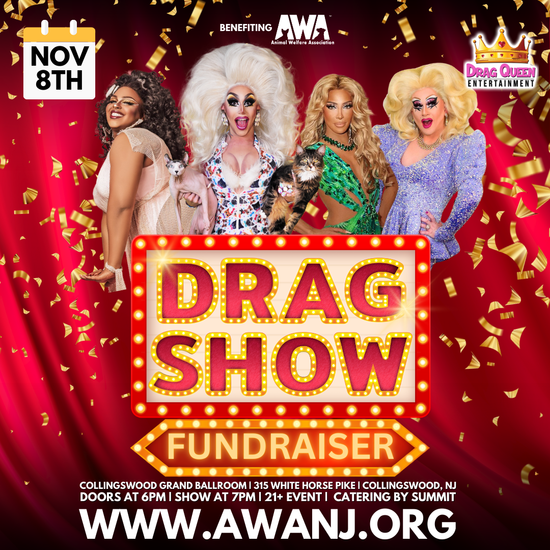 Events — Drag Queen Entertainment