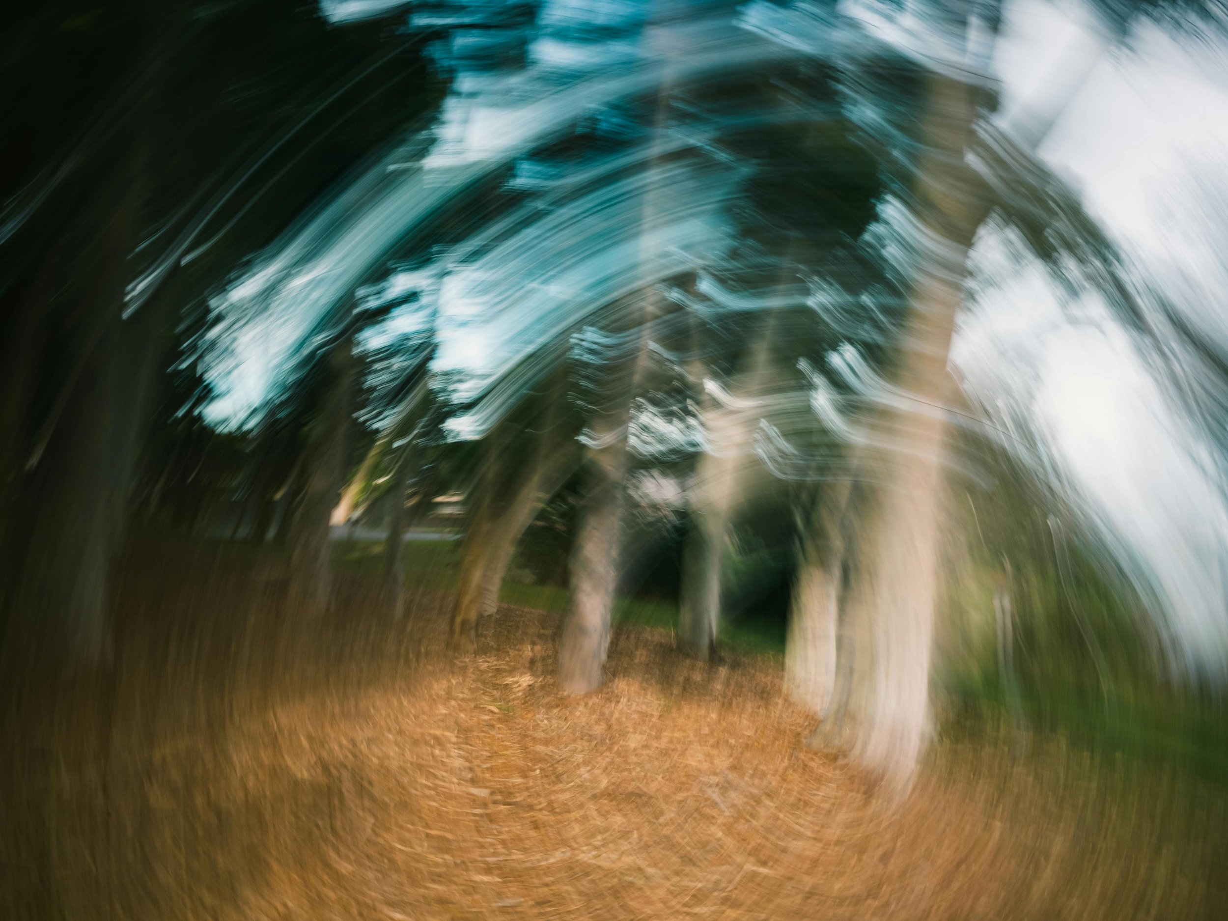 Dizziness and the Vestibular Ocular Reflex (VOR) — Dynamic Physio ...