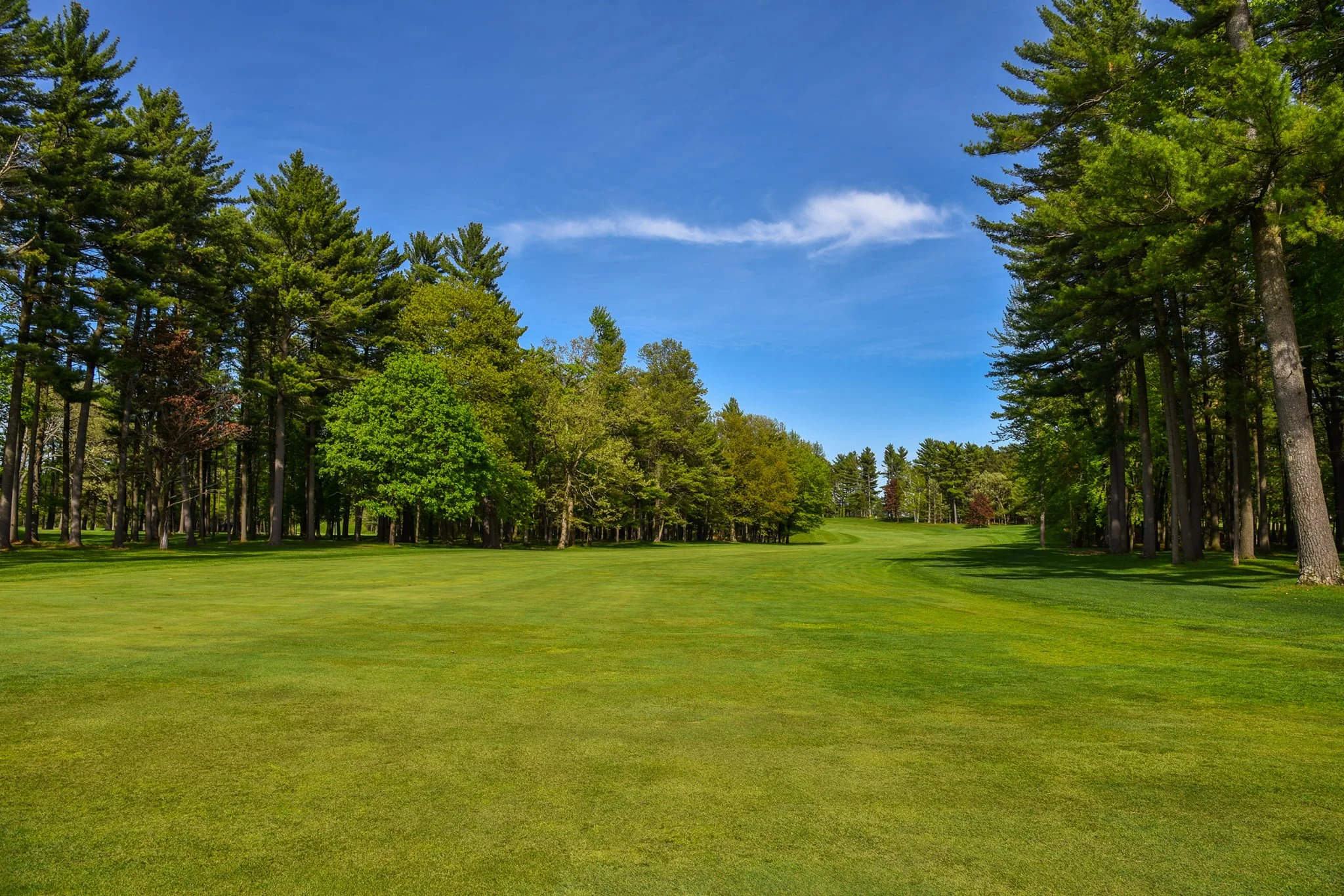 Play Bullseye — Bullseye Golf Club