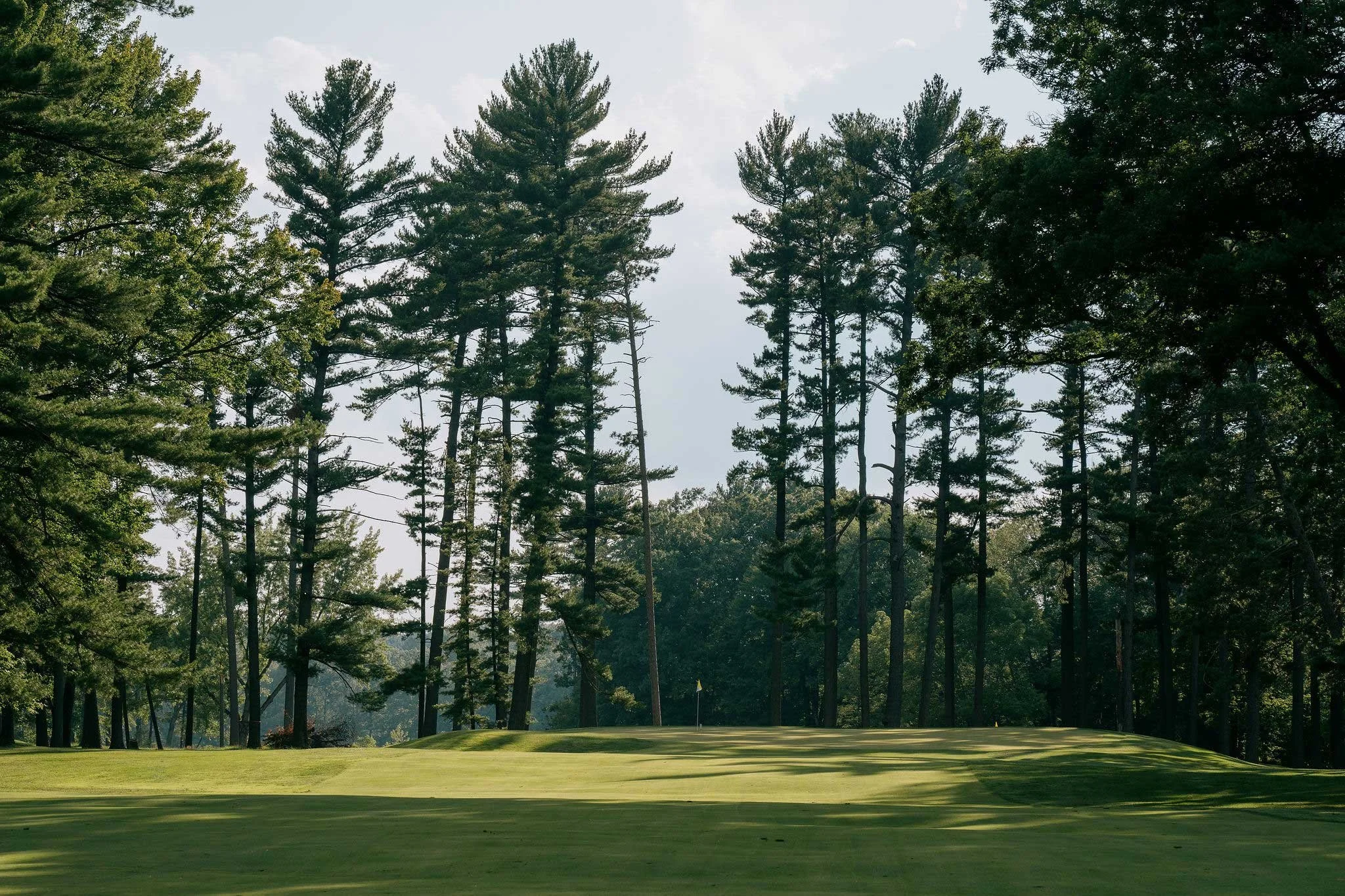 Memberships — Bullseye Golf Club