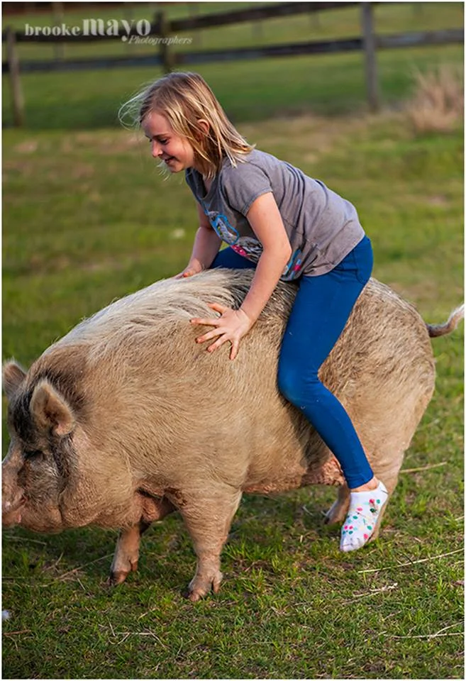 Outer Banks Wedding & Family Beach Portrait Photographers