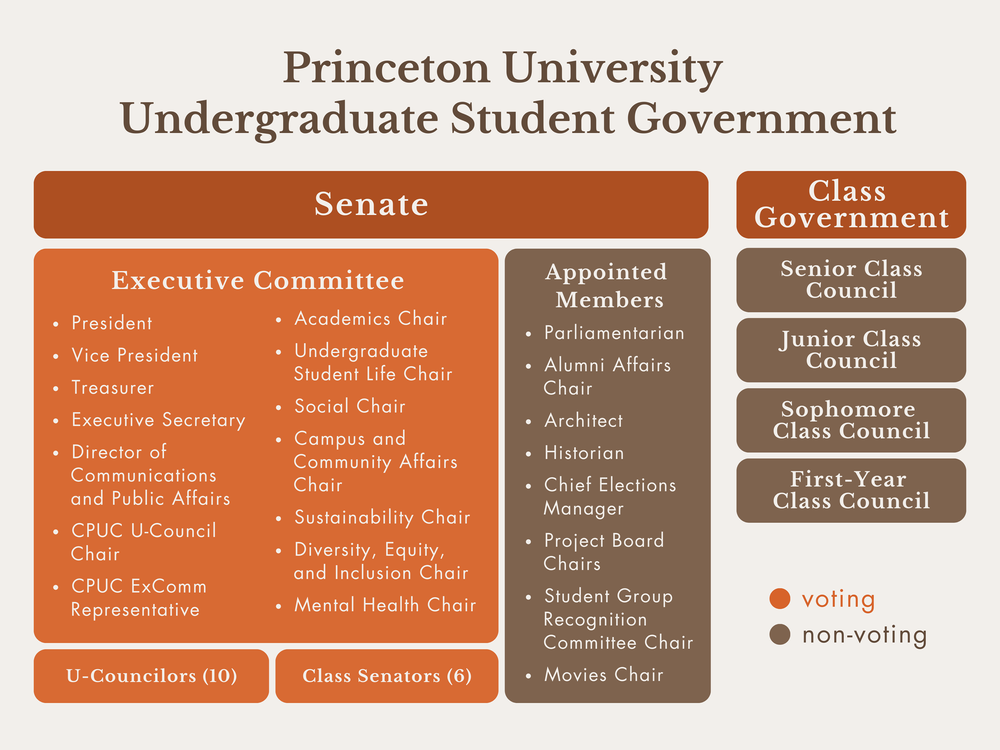 Princeton USG