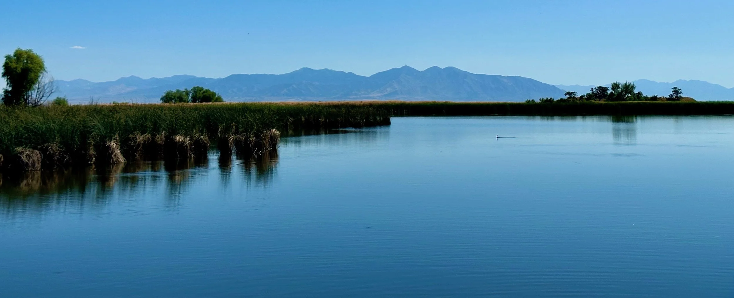 We Are Suing the State for Its Failure to Protect the Great Salt Lake ...
