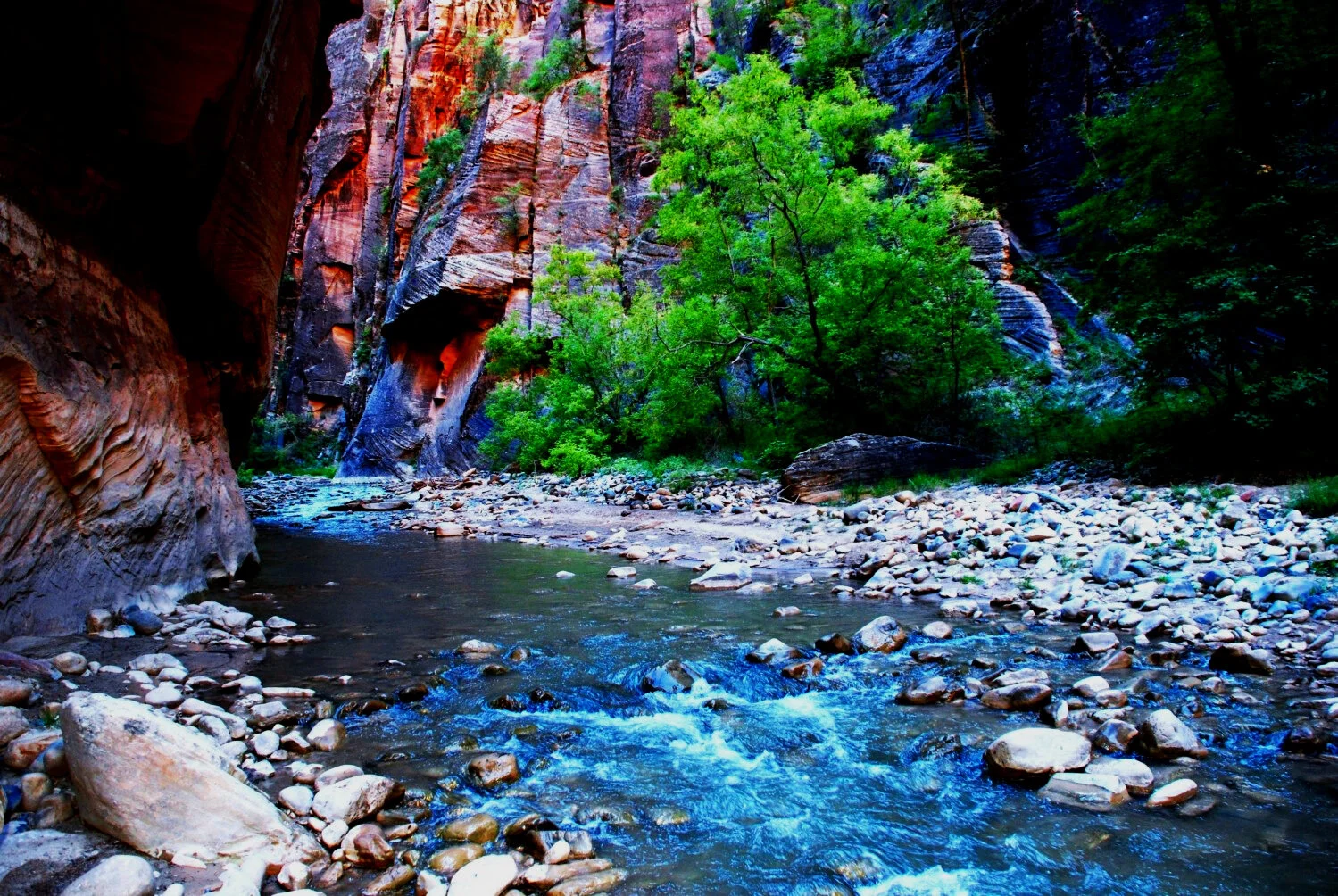 What We Believe — Utah Rivers Council