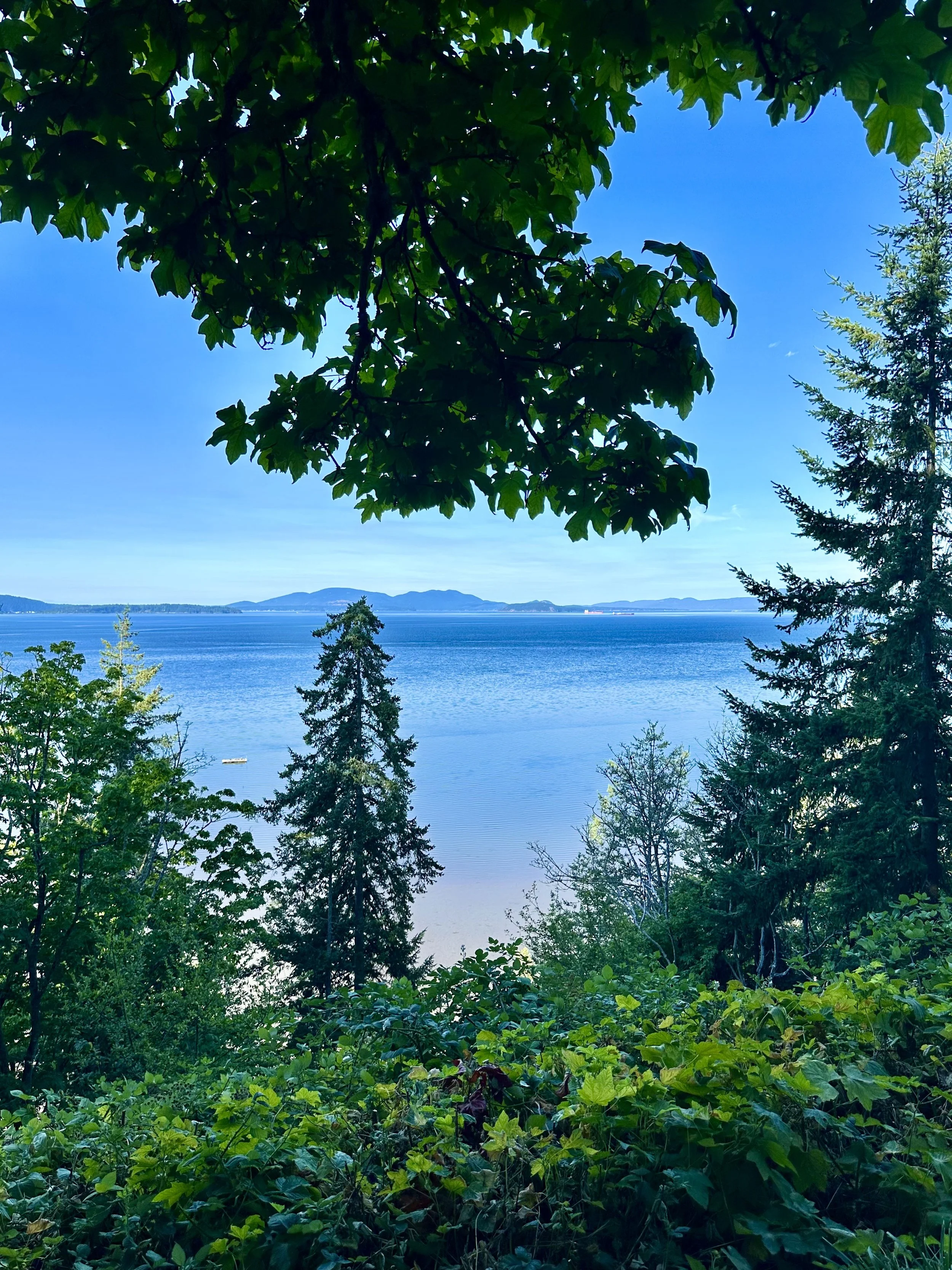Chuckanut Drive — Visit Burlington, WA