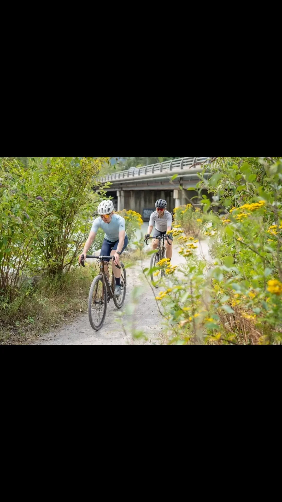 Category Home Page — Brodie Bicycles