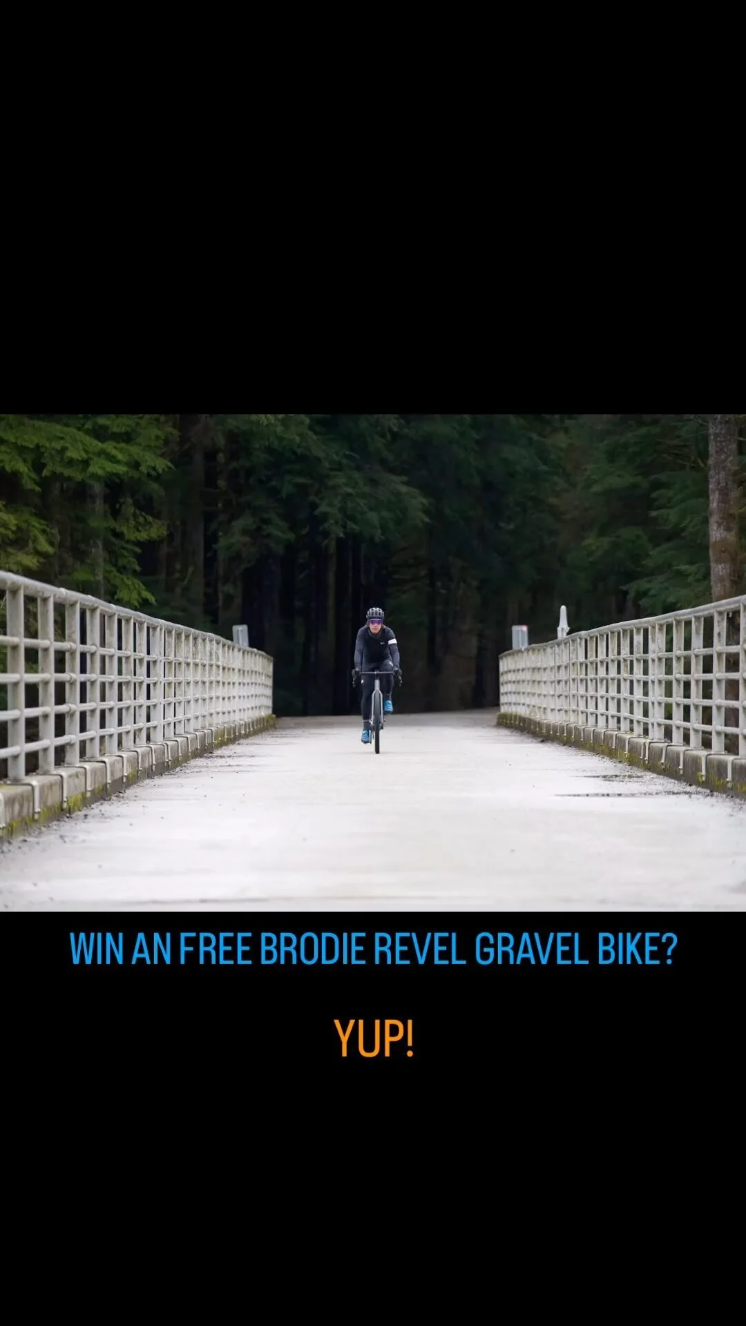 Category Home Page — Brodie Bicycles