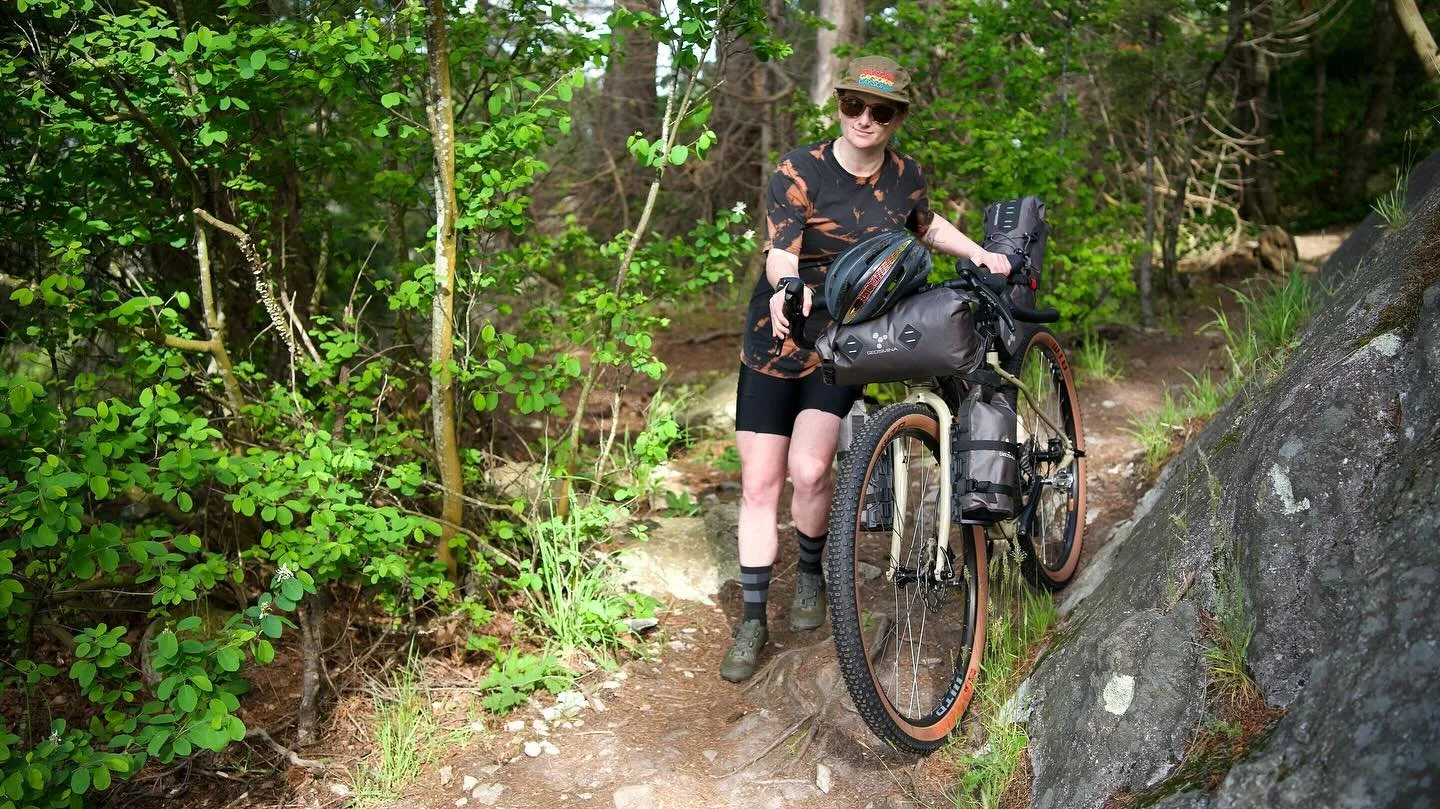 Shop Mountain Bikes — Brodie Bicycles