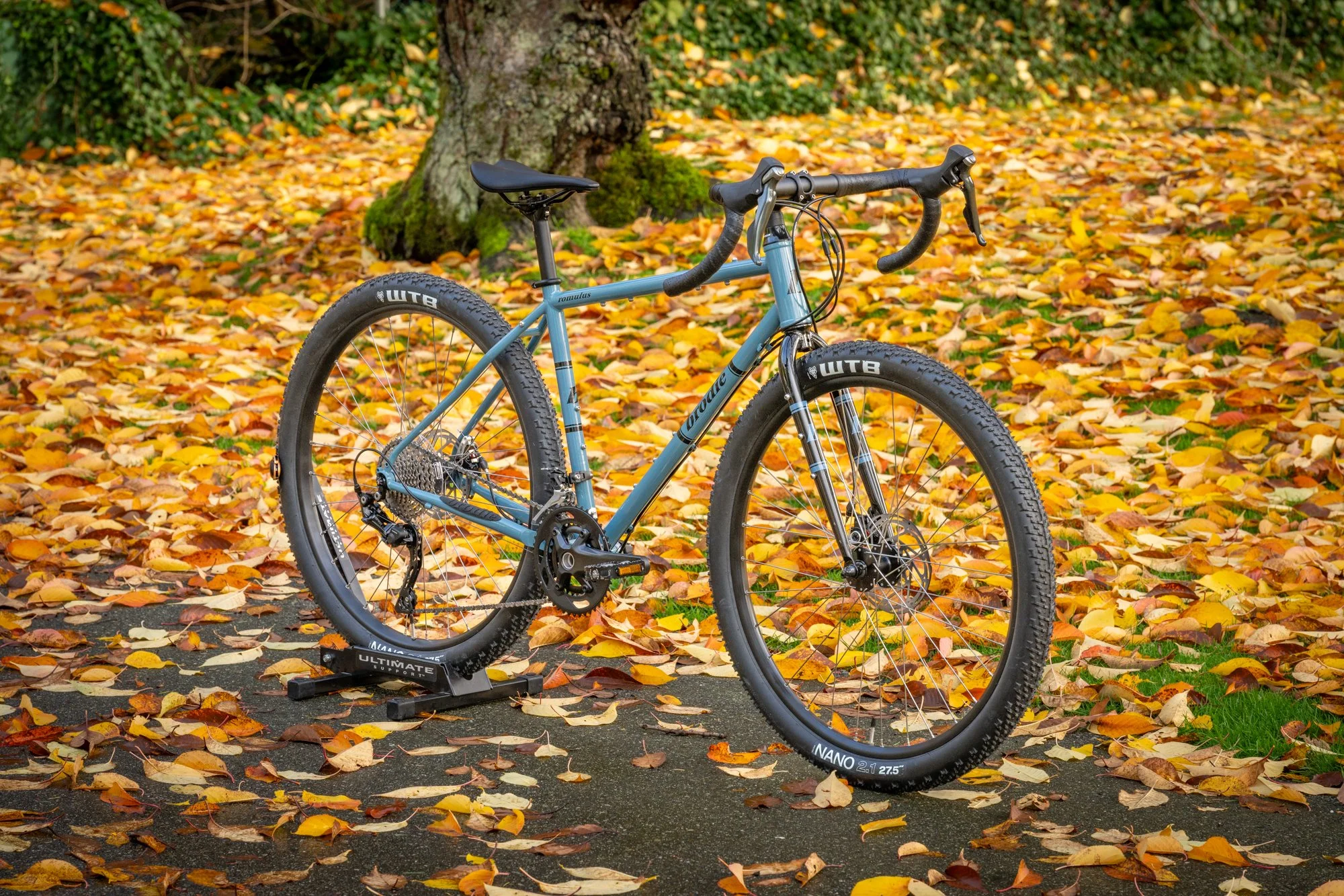 Romulus 2.0 2X GRX — Brodie Bicycles