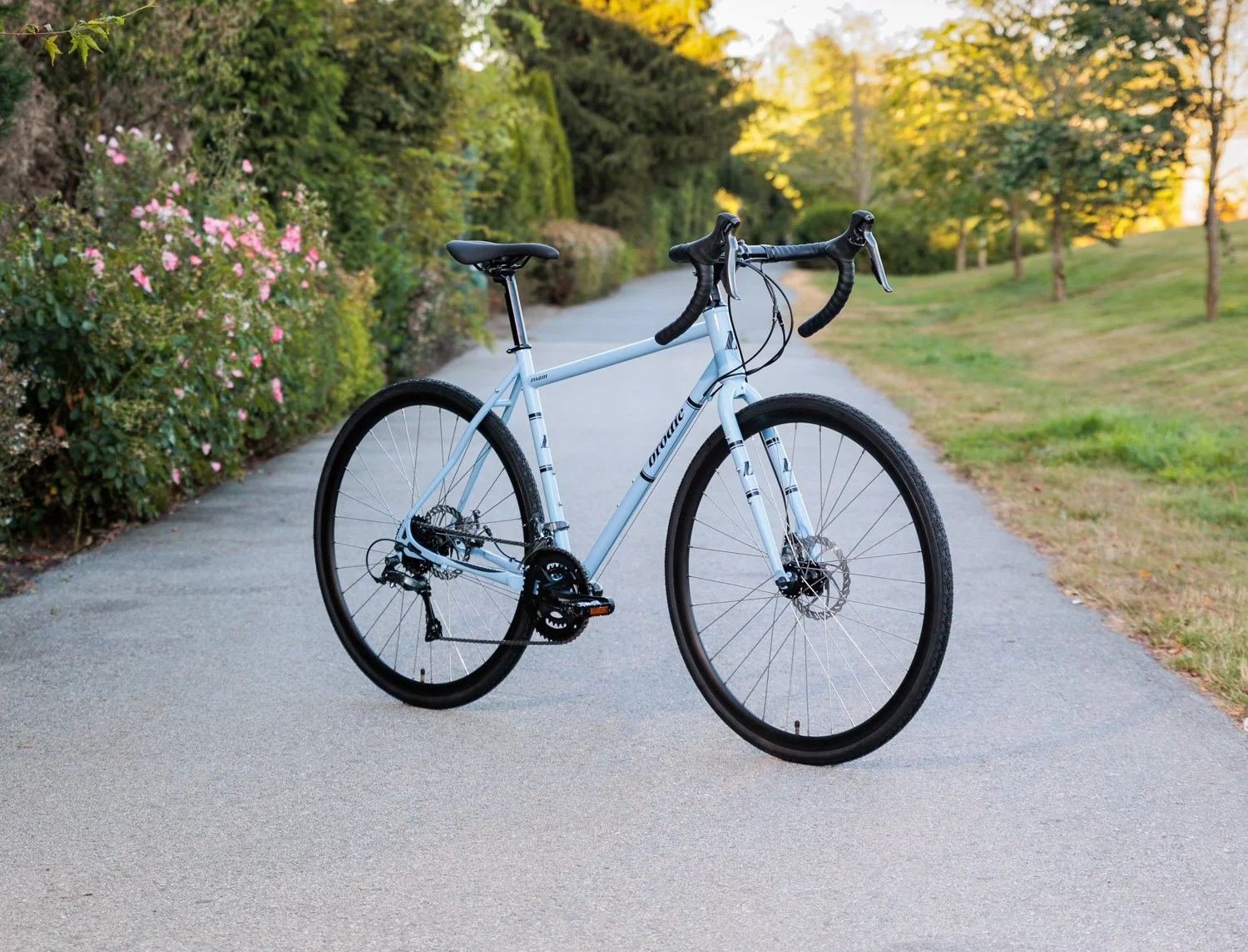 Roam — Brodie Bicycles