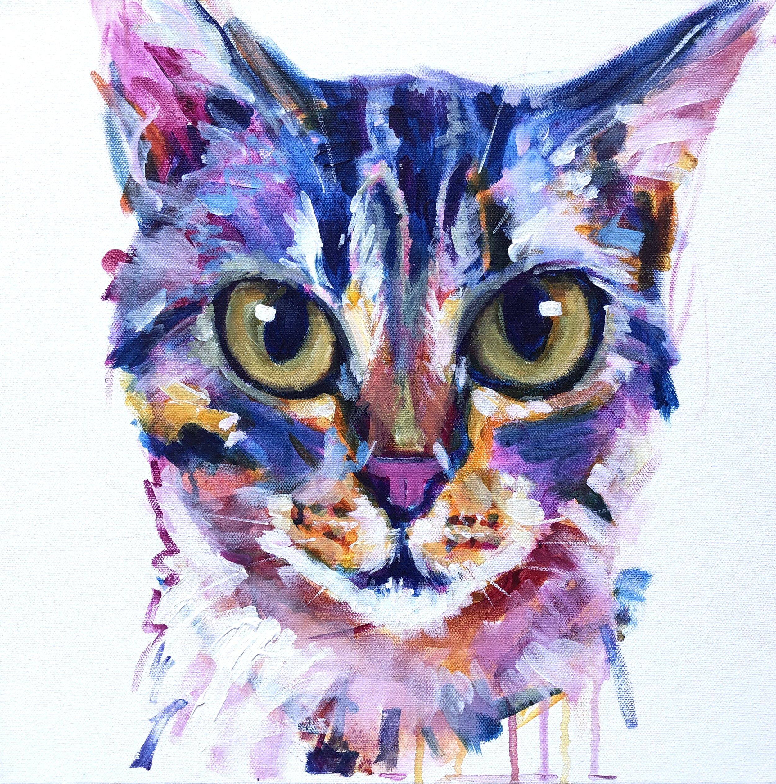 ANIMAL PAINTINGS — Amy Eichler Fine Art
