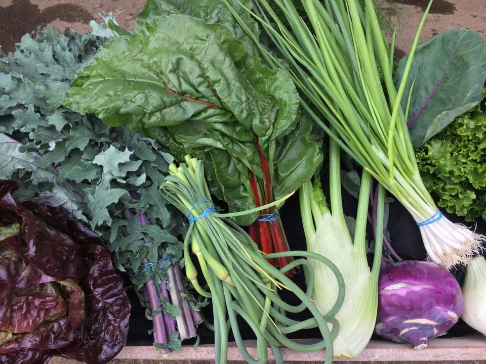 PHOTOS 2017 CSA BOXES — Rising River Farm