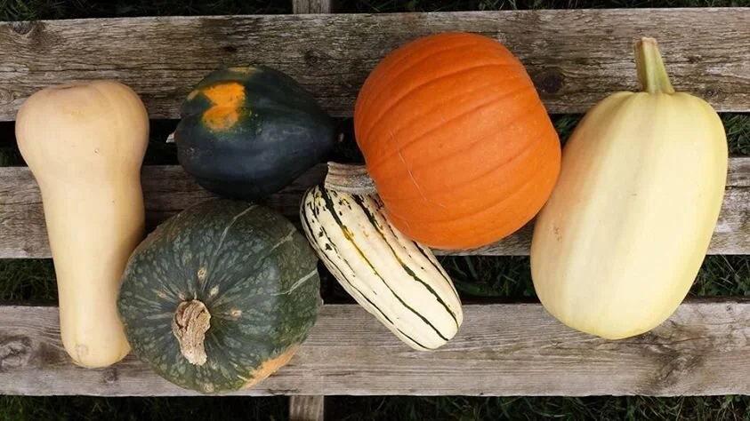 Rising River Farm