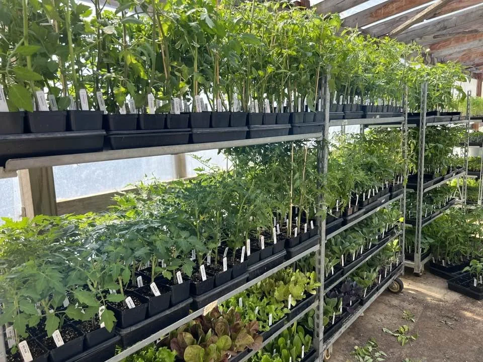 Rising River Farm