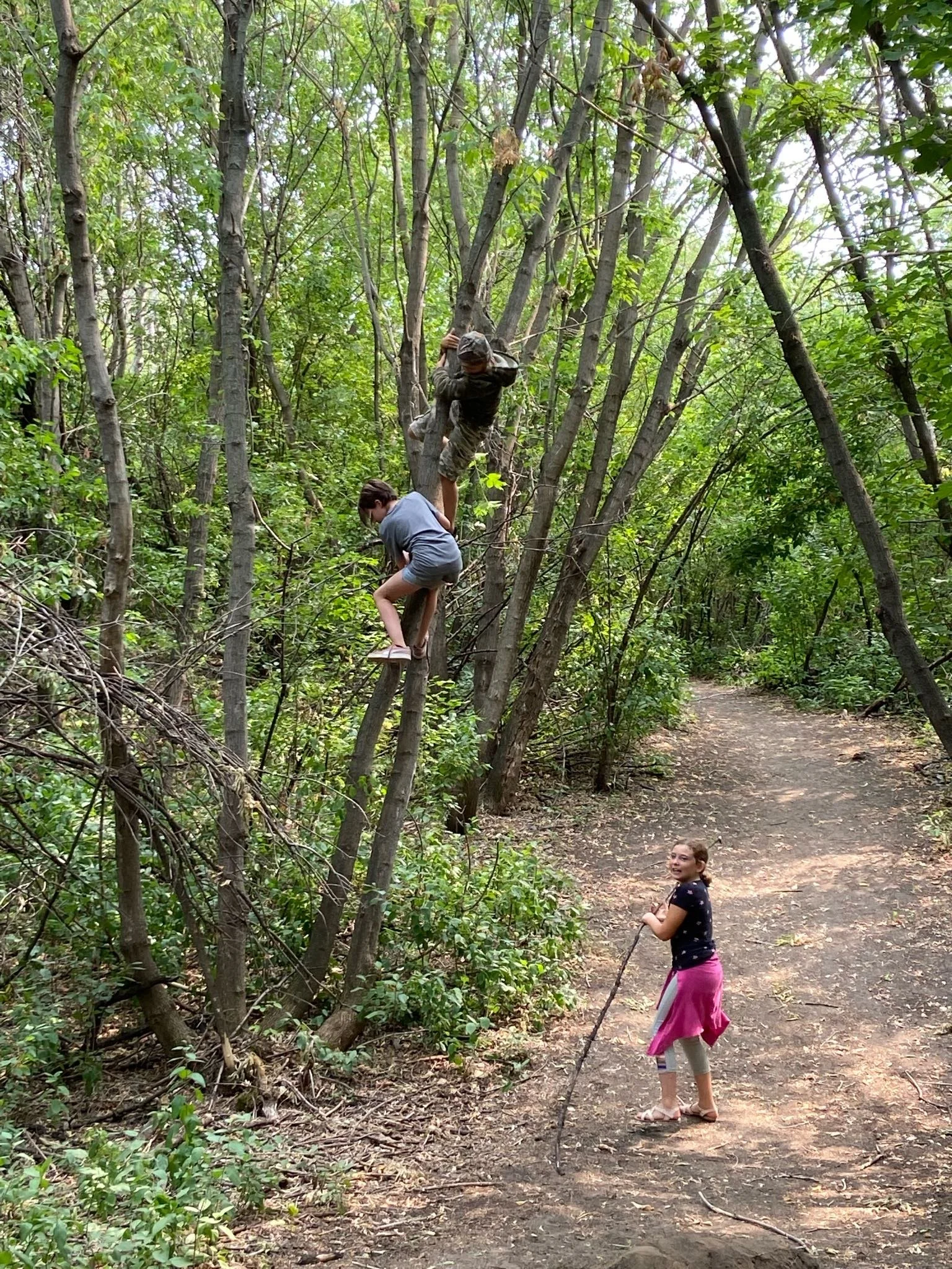 Urban Adventure Camps Gallery — Wild Sky Adventure Learning