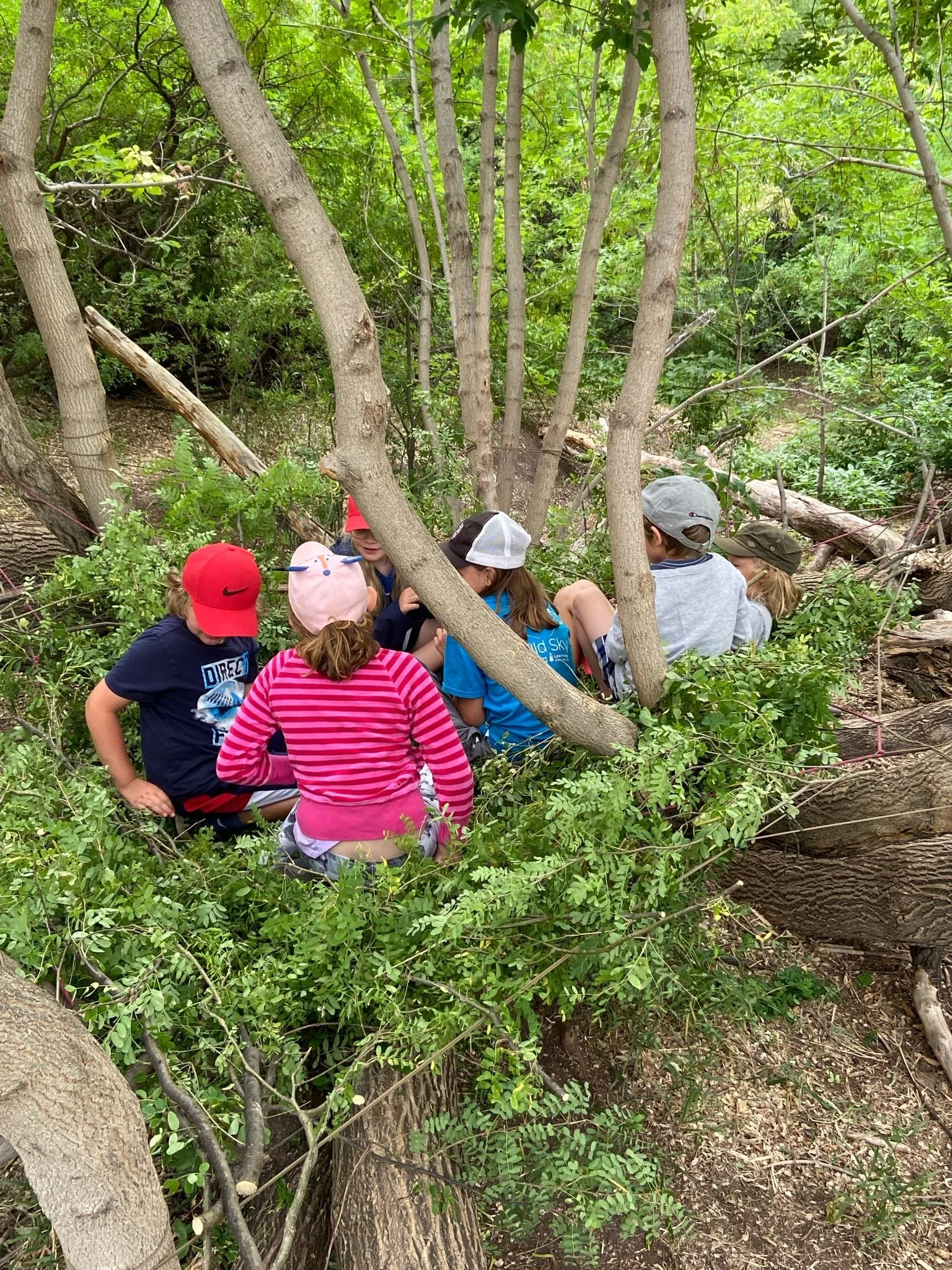 Urban Adventure Camps Gallery — Wild Sky Adventure Learning