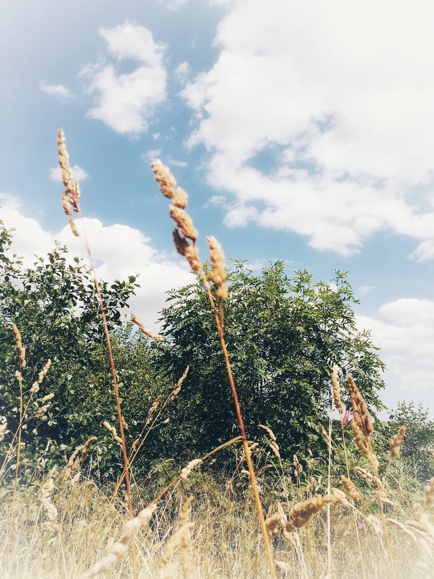 Lunchtime stroll — alanephotographic - Andrew Lane Photography
