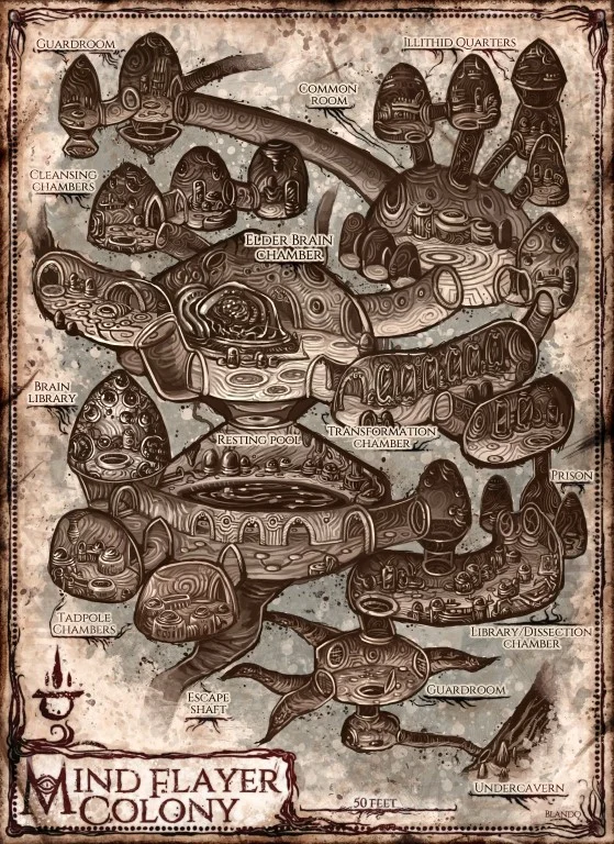 Cartography — Jared Blando