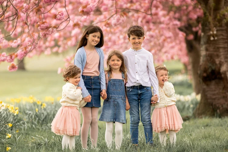 Cherry Blossom family photoshoot in the Stray, Harrogate, North ...