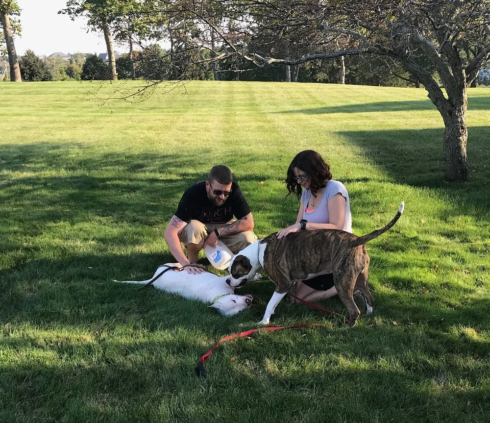 Adopt — Second Chance Ranch Rescue NH