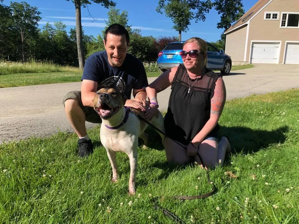 Adopt — Second Chance Ranch Rescue NH