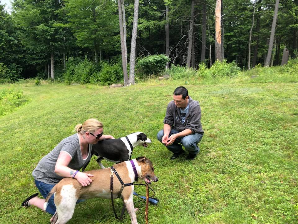 Adopt — Second Chance Ranch Rescue NH