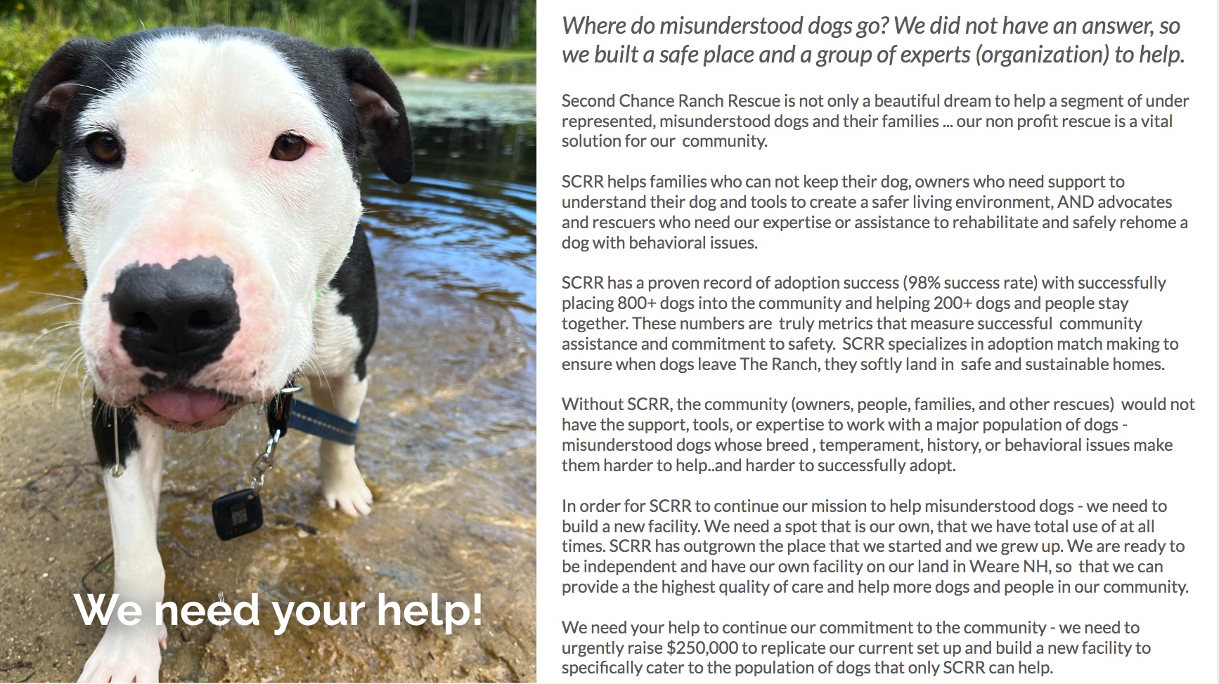 New Facility — Second Chance Ranch Rescue